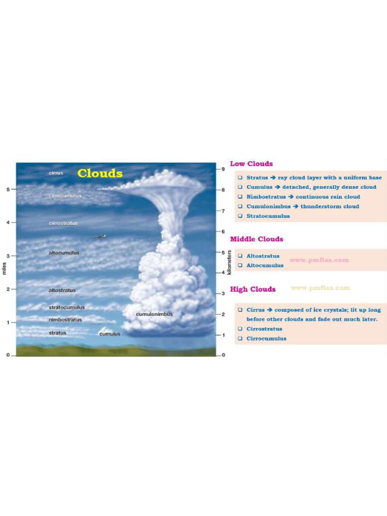 Cloud Forms | PDF
