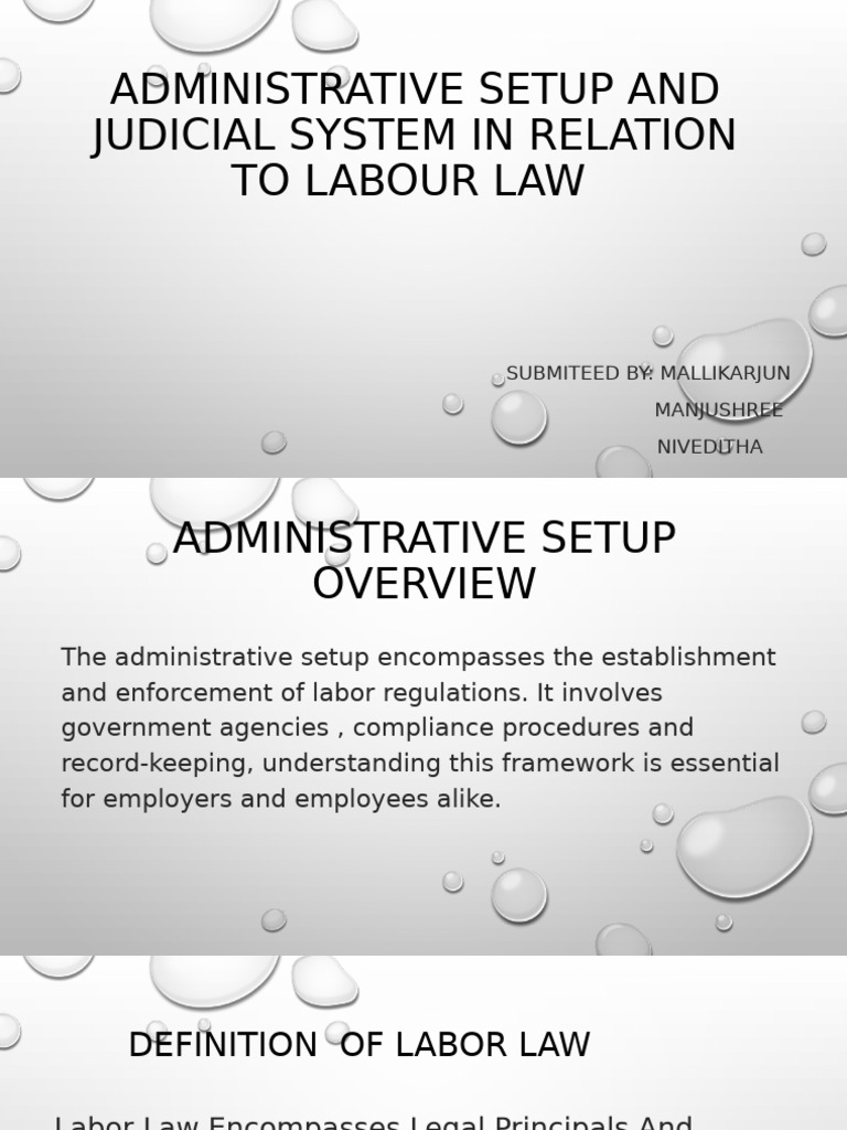 Administrative Setup New | PDF | Labour Law | Social Policy