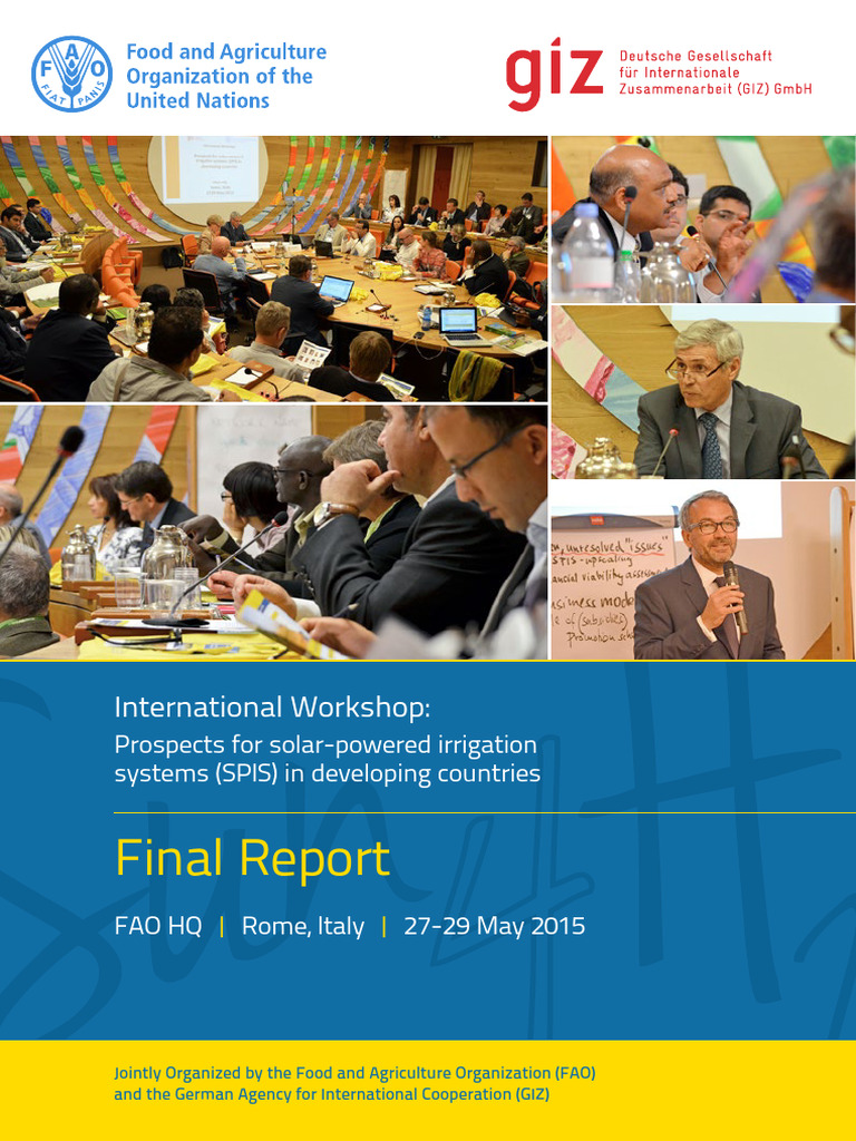 Fao Giz Solar Finalreport | PDF | Photovoltaics | Solar Power