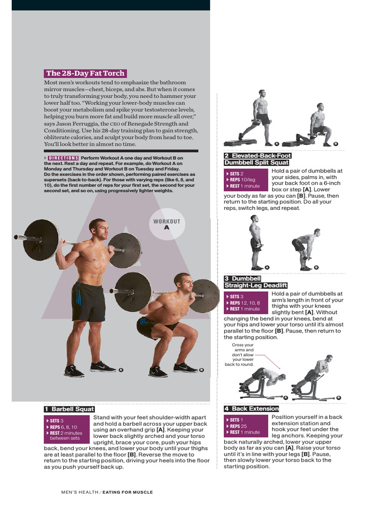 28 Day Fat Torch 646cd56e92ed3 | PDF | Weight Training