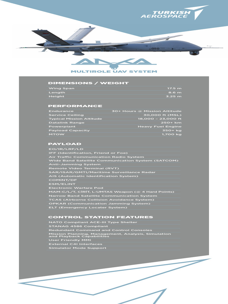 Multirole UAV System Specifications | PDF