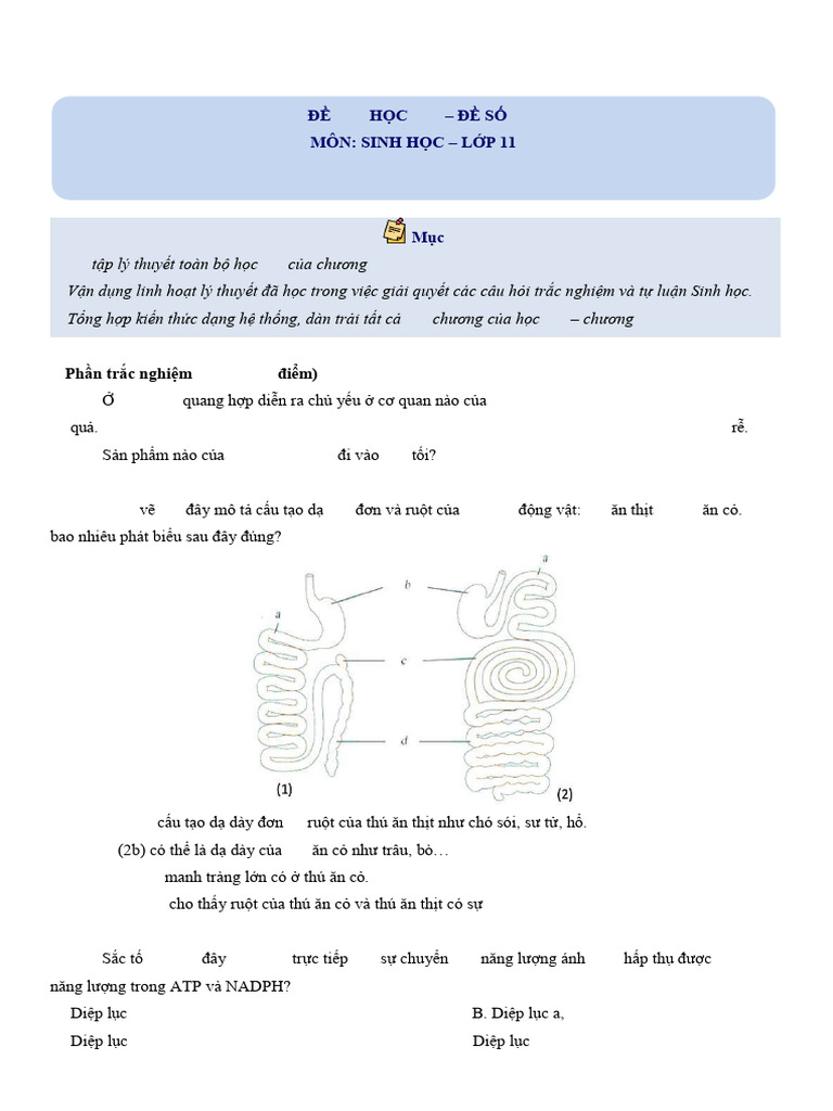 ĐỀ LỚP 11 HK1 2 | PDF