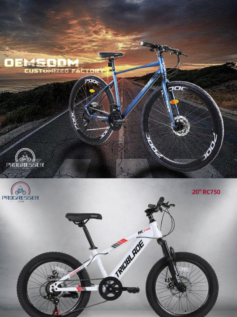 2024 Trioblade Bike Catalogue | PDF