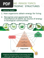 Daintree Rainforest Food Web Overview | PDF