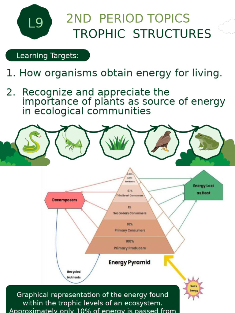 LESSON 10 Appreciating Trophic Structures | PDF | Food Web | Foods