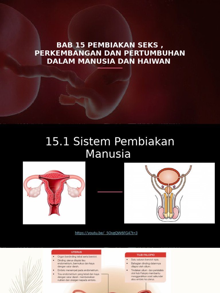 Bio T4 Bab 15 Part 1 2024 | PDF