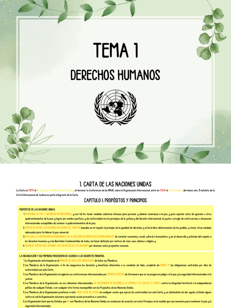 Tema 1 DDHH | PDF | Naciones Unidas | Relaciones internacionales