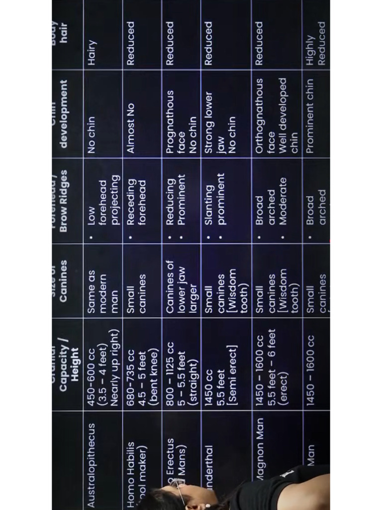 Human Evolution Chart | PDF