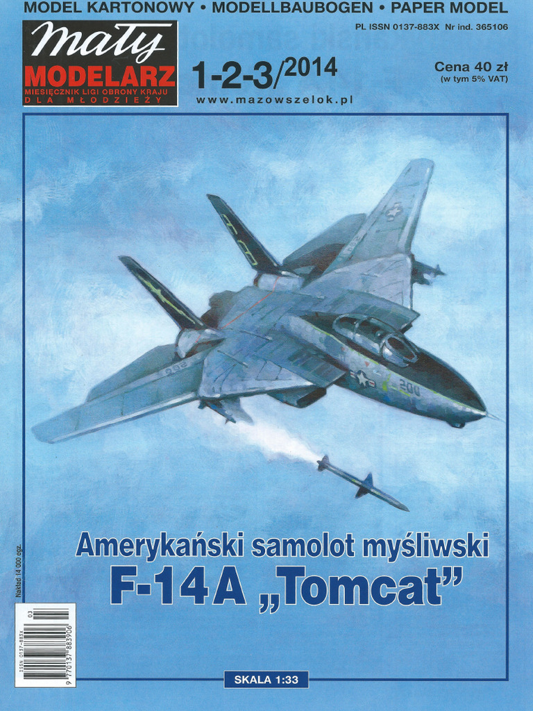 F-14 Tom Cat Paper | PDF