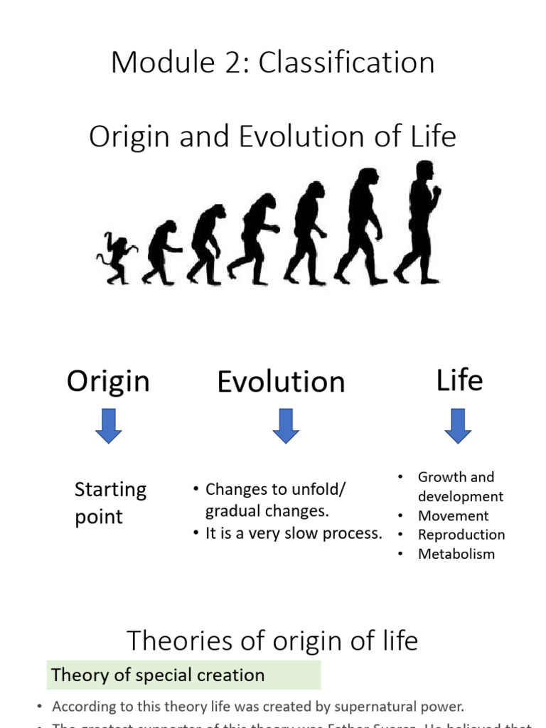 Origin and Evolution of Life Theories | PDF | Nucleotides | Abiogenesis