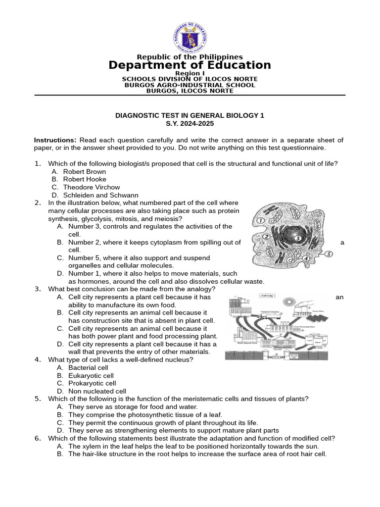 Diagnostic Test: General Biology 1 | PDF | Cellular Respiration ...