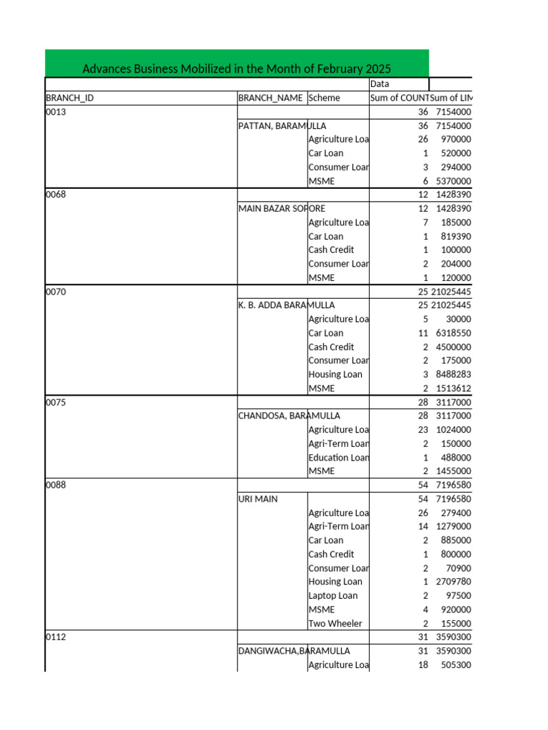 February 2025 Business Mobilization Data | PDF | Finance & Money ...