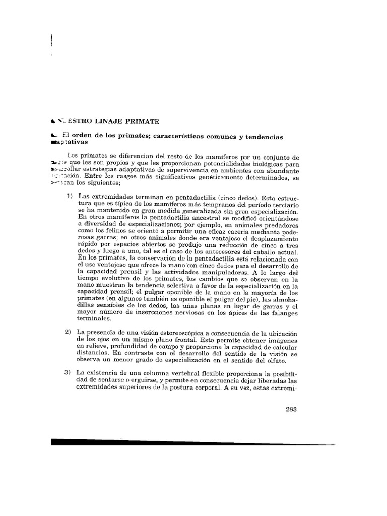 Lischetti. Nuestro Linaje Primate | PDF