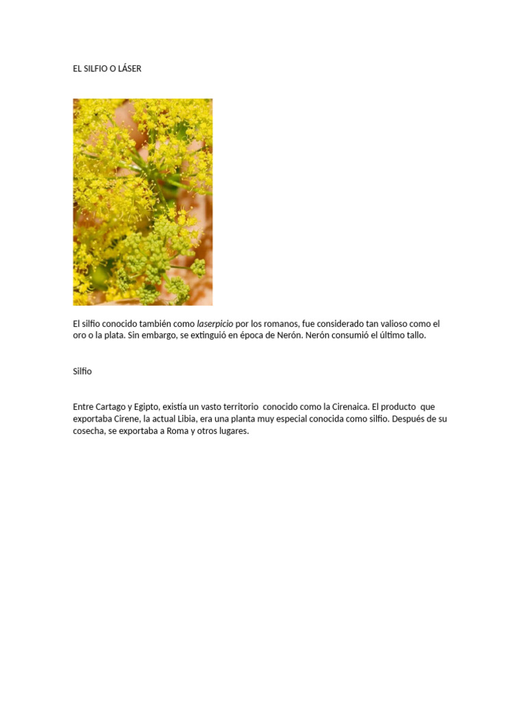 El Silfio o Láser | PDF