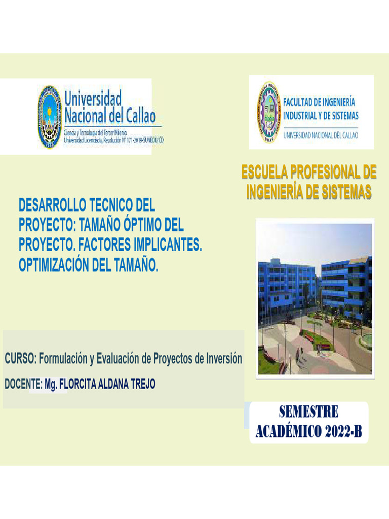 S5 - Desarrollo Tecnico Del Proyecto | PDF | Producto (Negocio) | Mercado (economía)