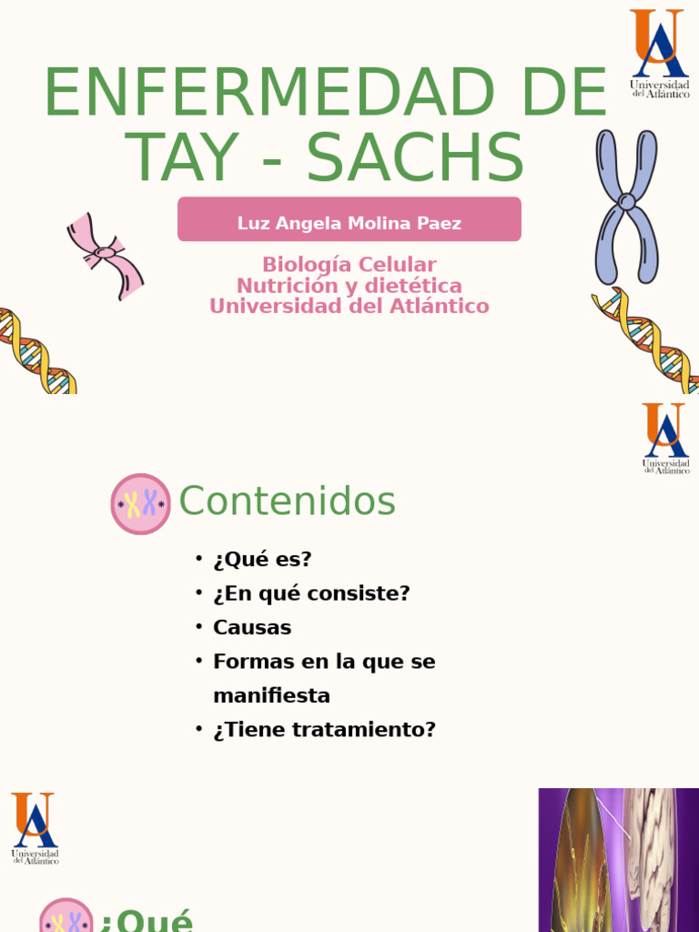 Enfermedad de Tay-Sachs: Causas y Síntomas | PDF