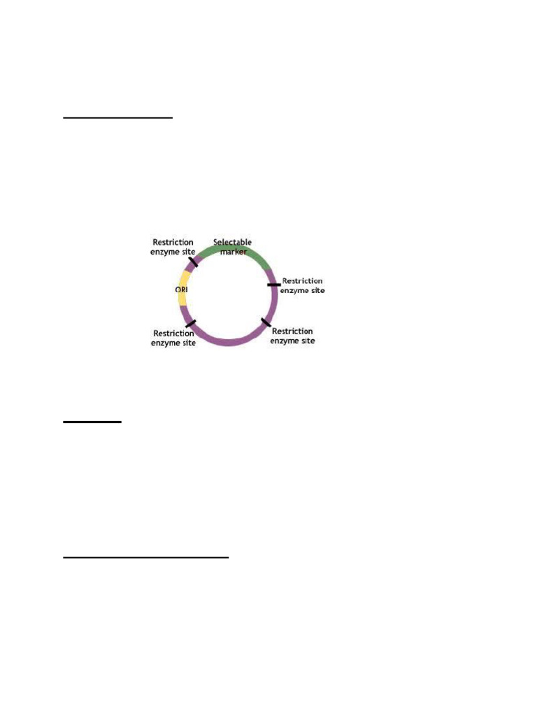 What Is Plasmid 02042020 | PDF | Plasmid | Dna Replication