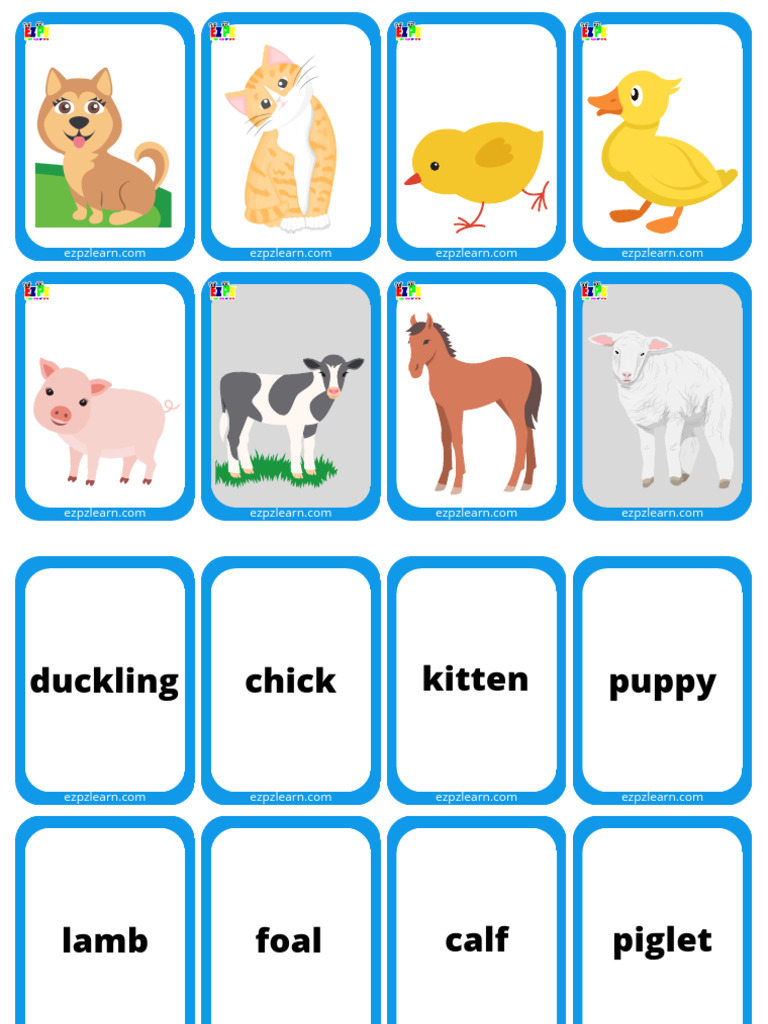 Animals and Their Babies Animals Mini Animals Flashcards Words On Back ...