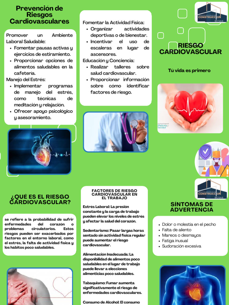 Folleto Riesgo Cardiovascular | PDF | Enfermedades cardiovasculares | Estrés (biología)