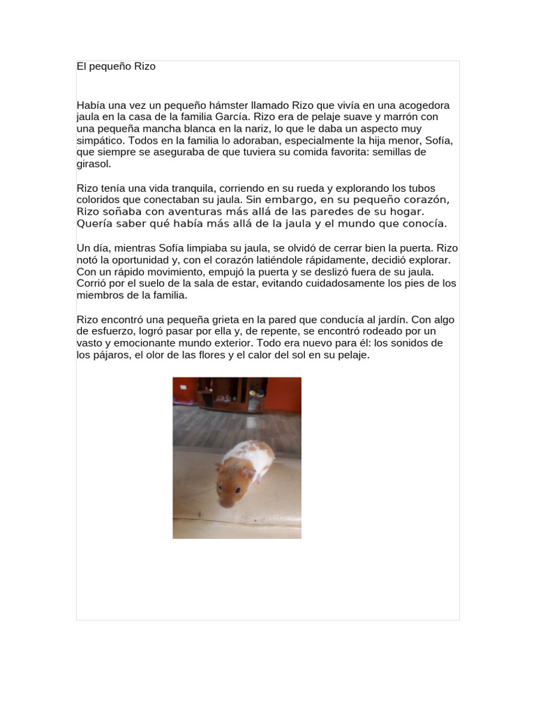 Aventura del hámster Rizo en el jardín | PDF