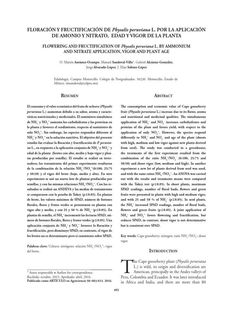 Articulo. Floracion y Fructificacion de Physalis Peruviana | PDF