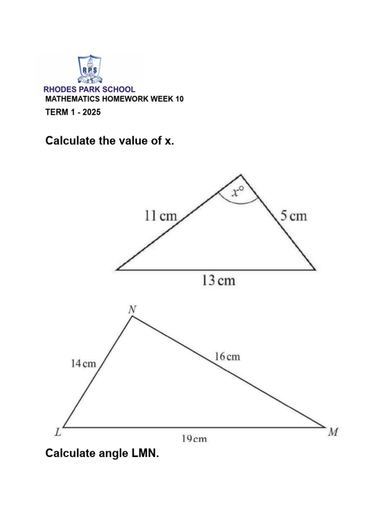 Grade 11 Blue - Homework 10 | PDF