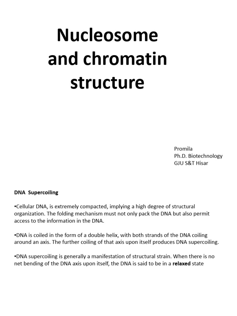 Nucleosome and Chromatin Structure: Promila Ph.D. Biotechnology GJU S&T Hisar | PDF | Histone ...