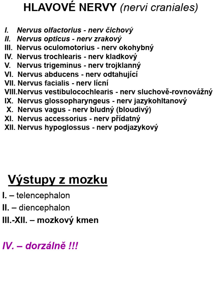 12._nervi_craniales-bez_obr | PDF