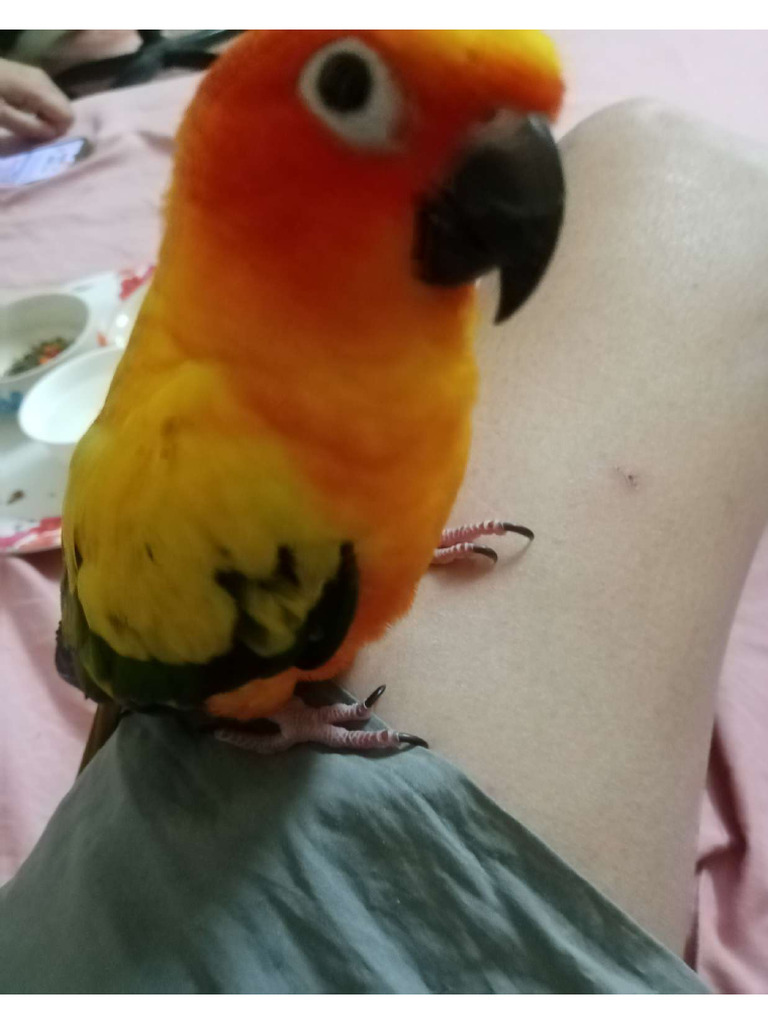 Img 20250323 224741 | PDF