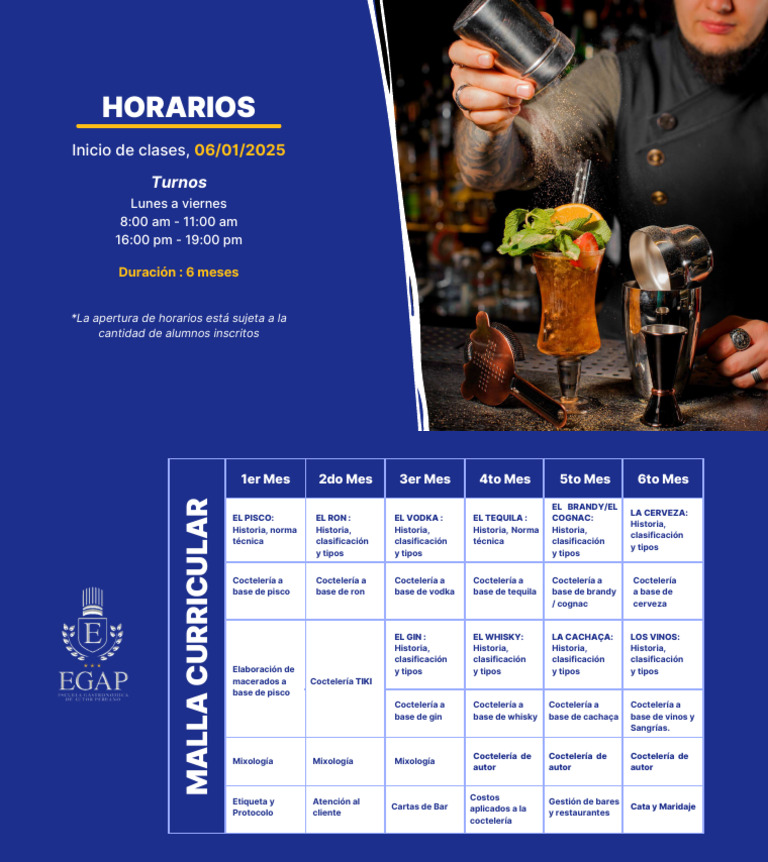Brochure Bartender M | PDF | Bebidas Mixtas | Barman