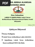 Labsii Buusaa Gonofaa | PDF