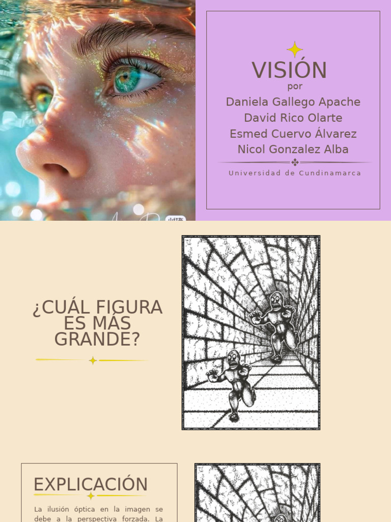 Vision, Ilusiones | PDF