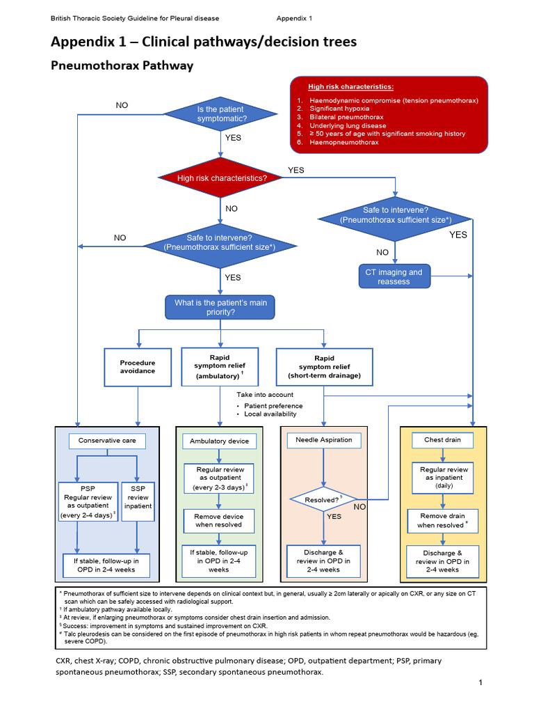 BTS Guideline for Pleural Disease Appendix 1_ Clinical Pathways_decision trees | PDF | Lactate ...