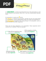 Daintree Rainforest Food Web Overview | PDF