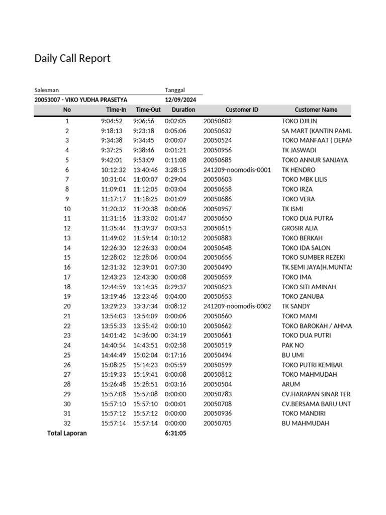 Daily Sales Call Report Summary | PDF