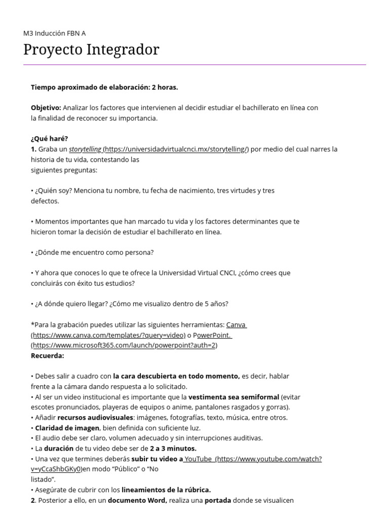 Proyecto Integrador | PDF