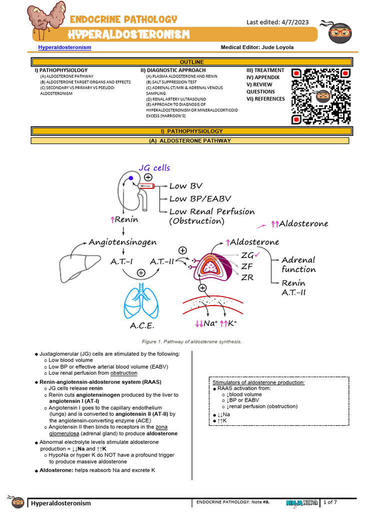 Hyperaldosteronism Atf | PDF | Angiotensin | Adrenal Gland