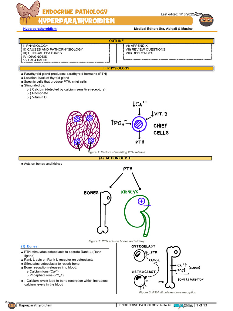 Hyperparathyroidism Overview and Pathophysiology | PDF | Endocrine ...