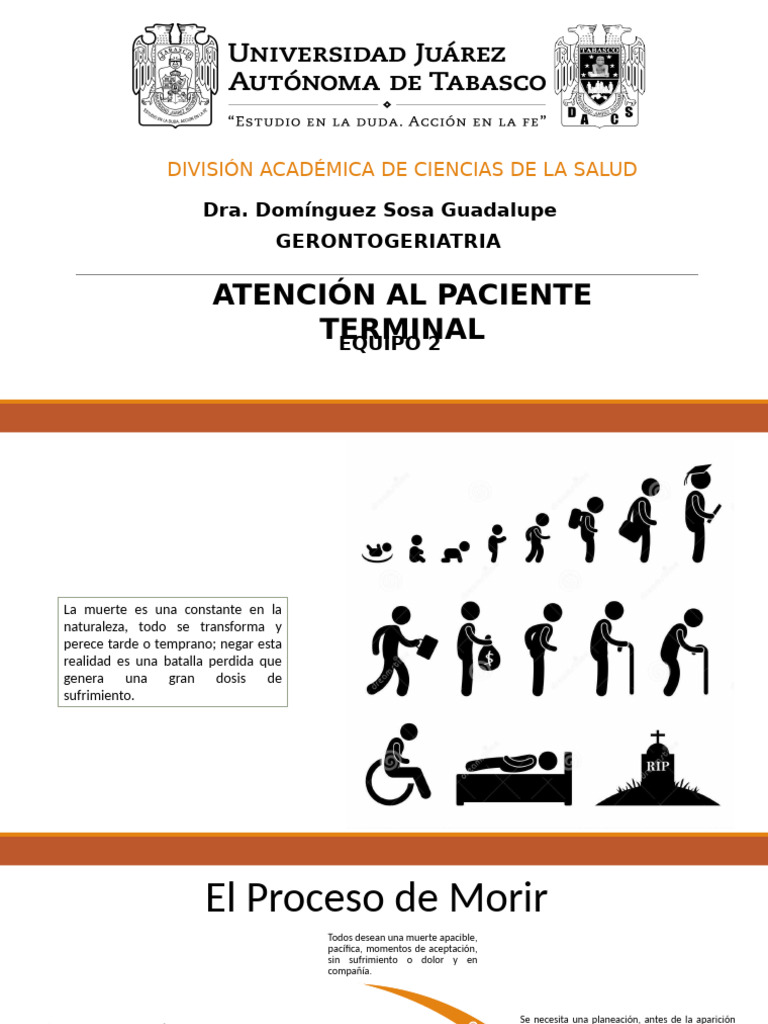 Atencion Al Paciente Terminal | PDF | Muerte | Demencia
