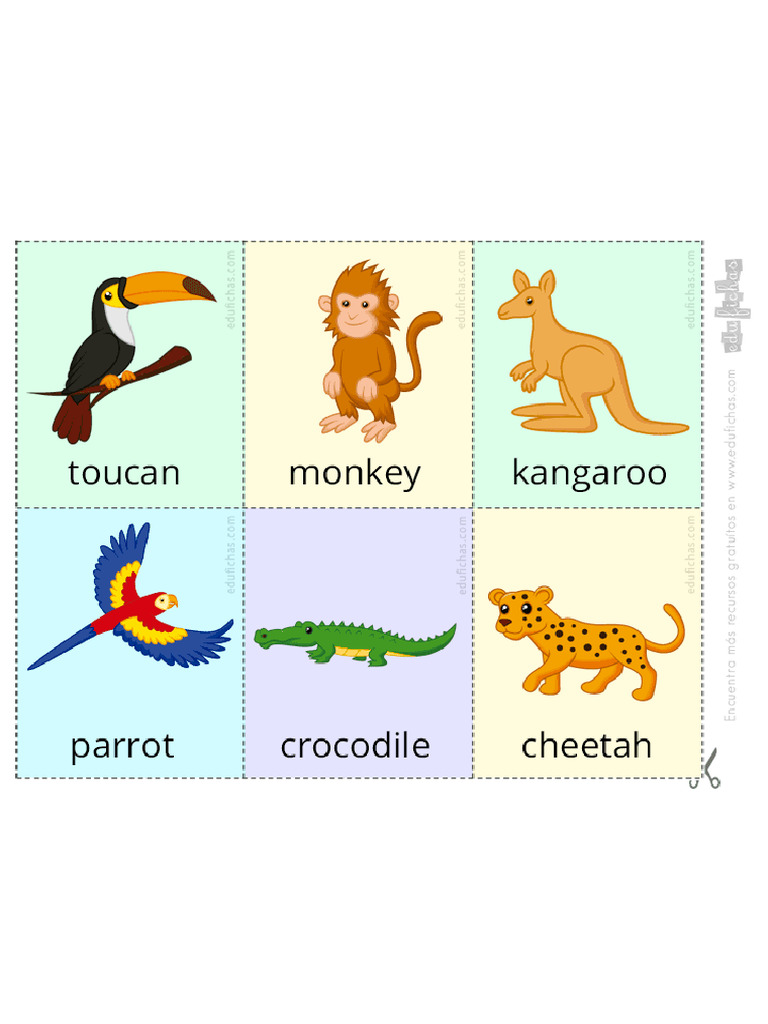 Animal Flashcards Part4 | PDF