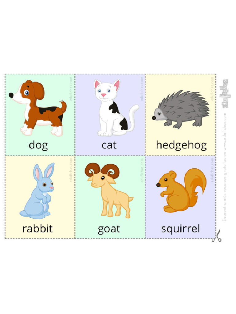 Animal Flashcards Part1 | PDF