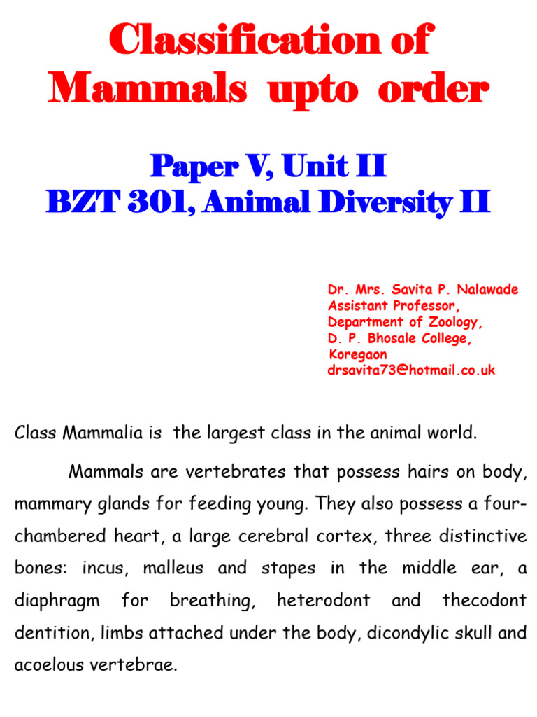 Classification of Mammals | PDF | Marsupials | Mammals
