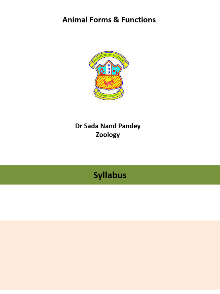 Photoreception in Human & Insects | PDF | Eye | Retina