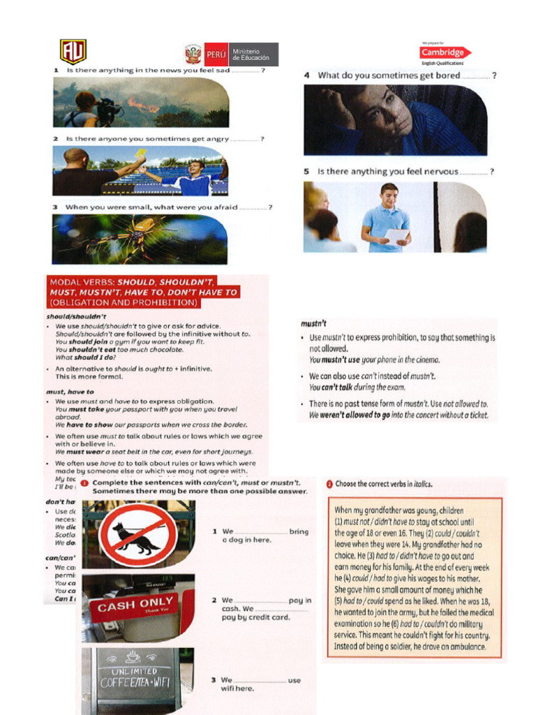 Worksheet L1W11,12 Describing Feelings | PDF