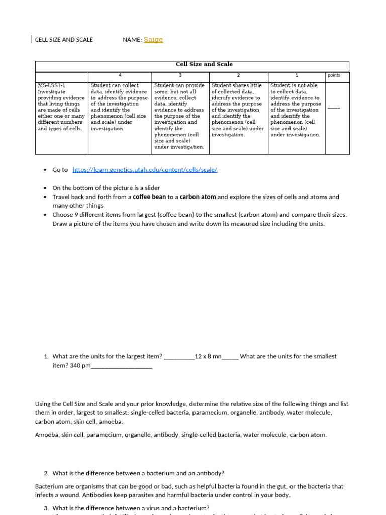 Cell Size and Scale Saige Christy | PDF | Cell (Biology) | Bacteria