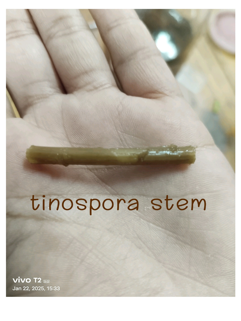 Specimen | PDF