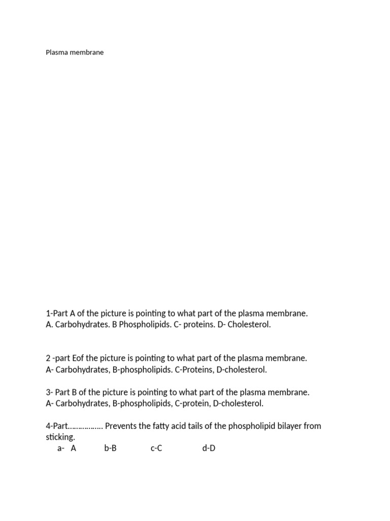 Plasma Membrane | PDF