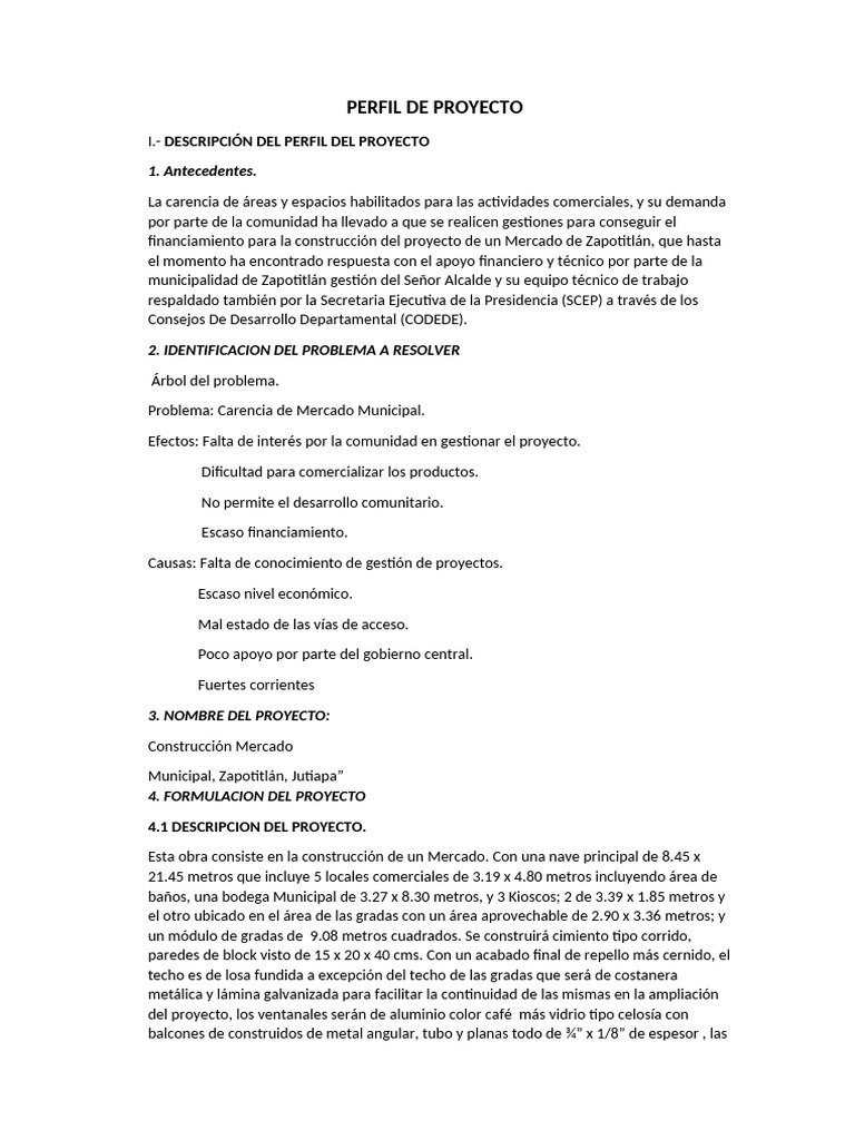 Perfil de Proyecto | PDF