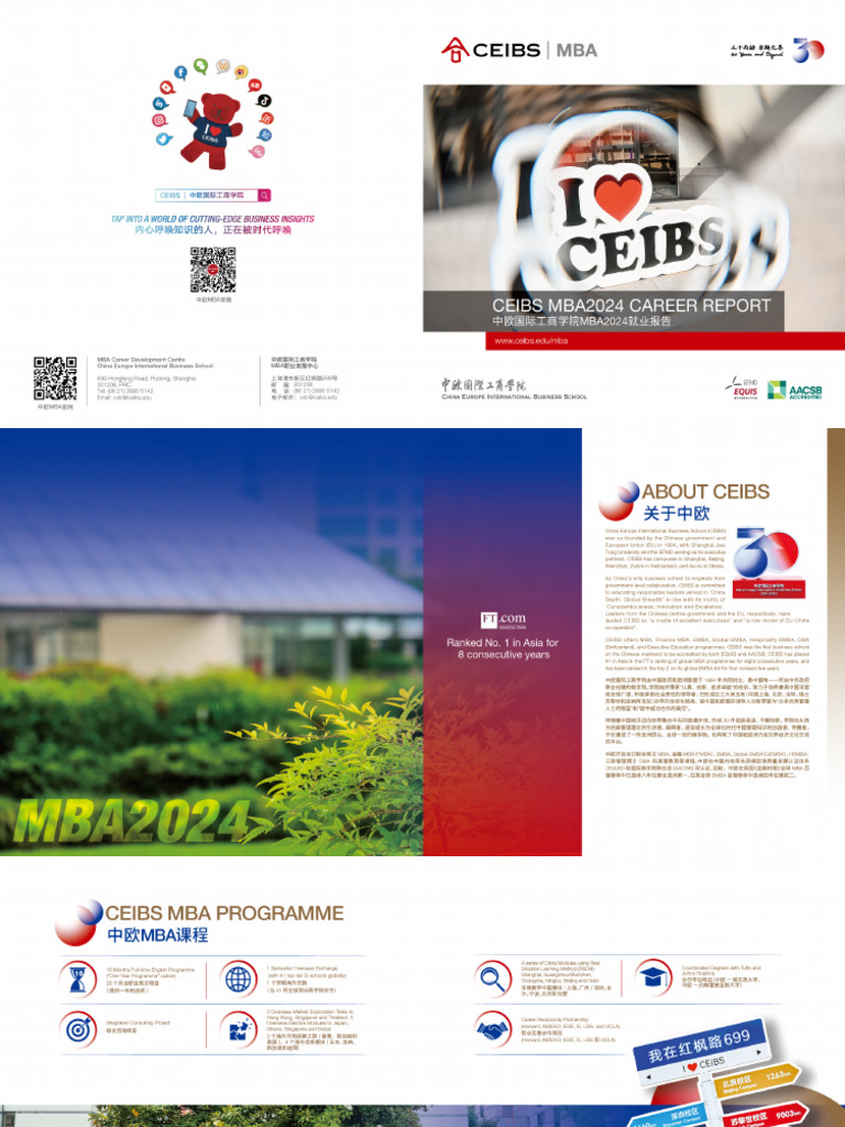 CEIBS MBA2024 Career Report | PDF