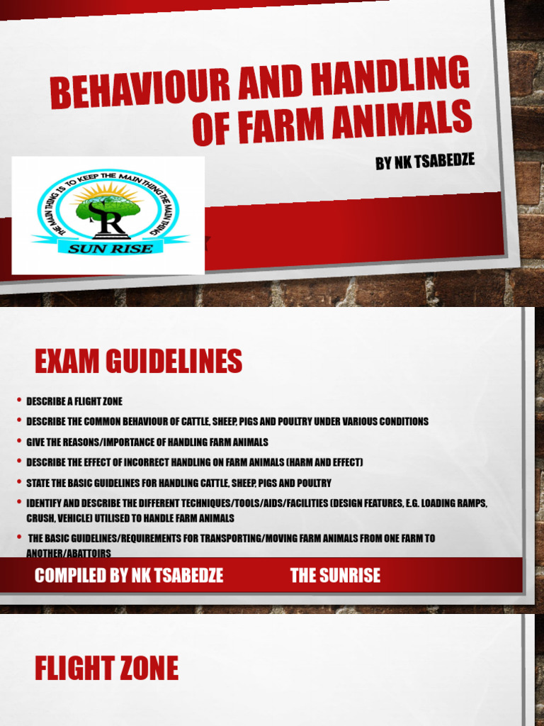 Handling Guidelines for Farm Animals | PDF | Sheep | Livestock